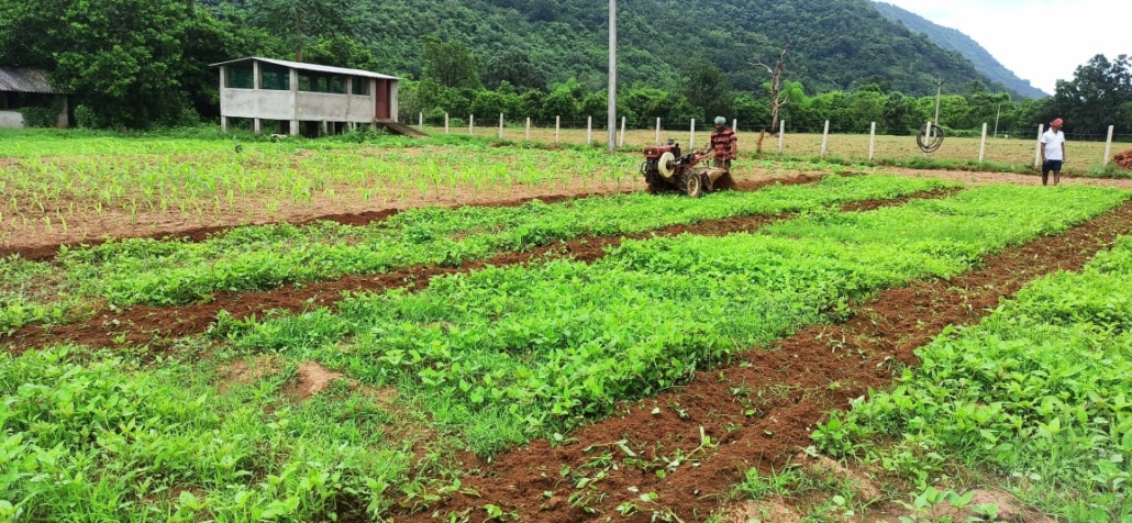 Livelihood And Skill Development Read Odisha Rural Educational